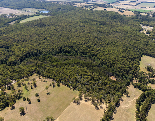 Former Barwon Downs borefield extraction bores to be decommissioned ...