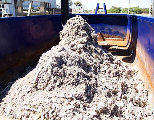 Sewer blockages rise - Barwon Water